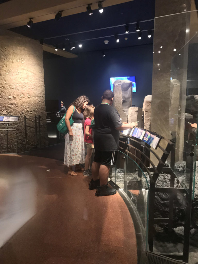 Fifth Grade Field Trip to the American Museum of Natural History
