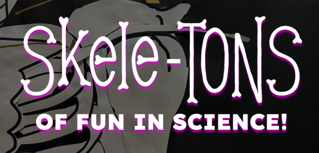 Special Needs and Learning Disabilities School NYC